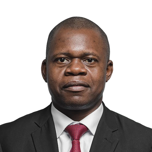 Orgãos de Gestão – MyBucks